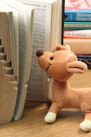 Raymond Visits The Elf Pal Academy – Elf Blog